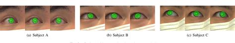 Figure From Eye Gaze Estimation Using Iris Segmentation Trained By Semi Automated Annotation