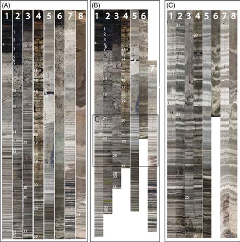 Core Photographs Before A And After B Vertical Alignment Download Scientific Diagram