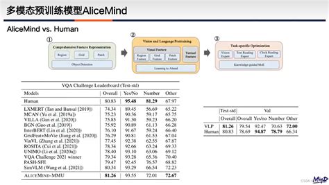 多模态预训练技术alicemind2021 图文多模态任务 csdn博客
