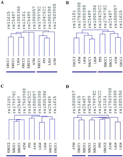 Non Supervised Hierarchical Clustering Of Snps In Prostate Cancer
