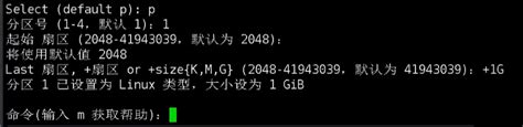 Linux使用fdisk进行分区linux Fdisk Csdn博客