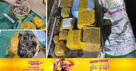 អាជ្ញាធរវៀតណាមបាន រឹបអូស មាសចំនួន ១៩ គីឡូក្រាម ដែល រត់ពន្ធ ពី កម្ពុជា ទៅ វៀតណាម Khmernote