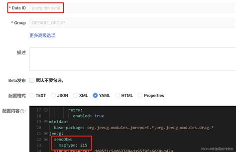 nacos配置中心 无法获取配置 报错could not resolve placeholder以及打开nacos没有权限访问