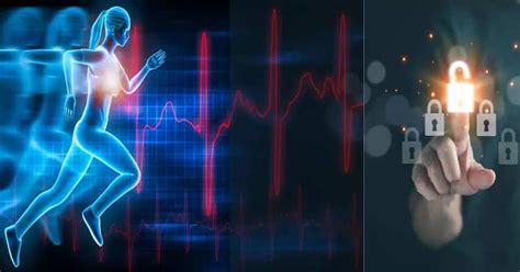 Unveiling Forensic Insights Through Video Motion Analysis Techniques