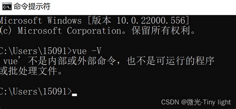 Vue Cli安装后使用vue V命令找不到版本的问题 Csdn博客