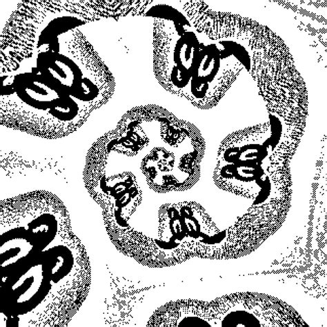 Mad Wee Light 2022 Remaster Otherworld