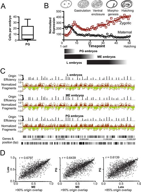 Figures And Data In Spatiotemporal Coupling And Decoupling Of Gene