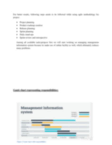 SOLUTION Gantt Chart Detailed Explanation Studypool