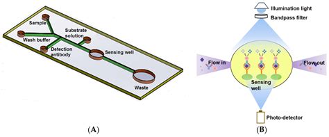 Rapid Detection Of Food Allergens By Microfluidics Elisa Based Optical