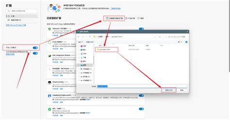 Chrome Cat Catch 猫抓v240 枫音应用