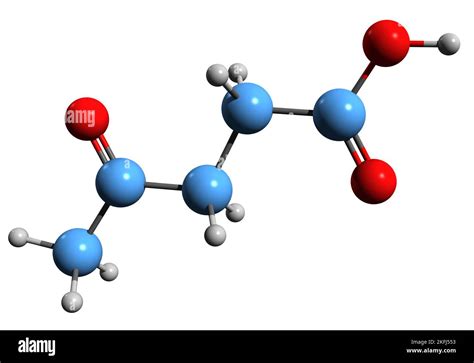 3d Image Of Levulinic Acid Skeletal Formula Molecular Chemical