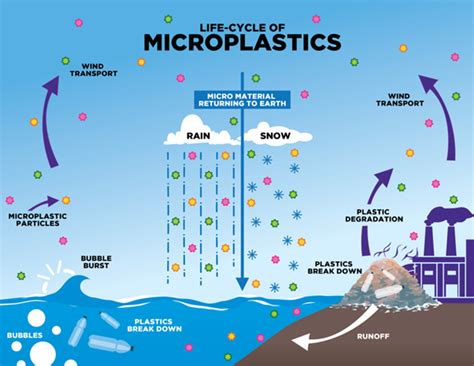 Microplastics Discovered In Fresh Antarctic Snow For First Time Gs Score