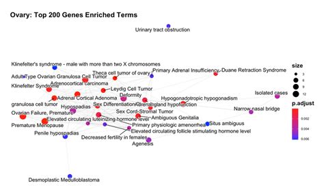 Rna Seq Ovary