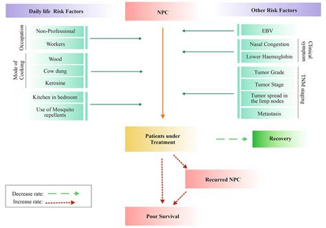 Theoretical Model Of Multiple Risk Factors Effect On Npc Patients
