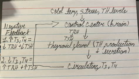 Patho Unit Flashcards Quizlet Patho Unit Flashcards Quizlet