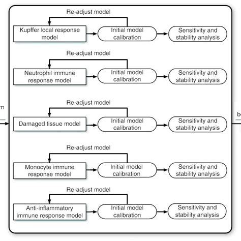 1 Framework Of The System Dynamic Mathematical Model Download Scientific Diagram