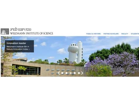 Moshe Oren Weizmann Institute Of Science Pptx