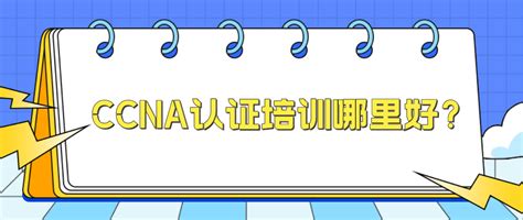 ccna认证培训哪里好？ ccna cisco思科认证 思博网络spoto