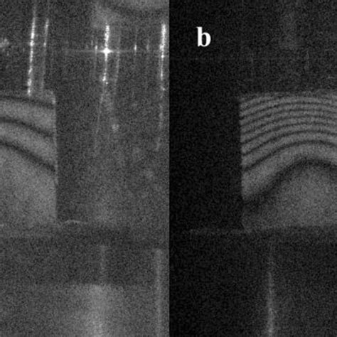The Interference Patterns In The Experimental Group F At The End Of