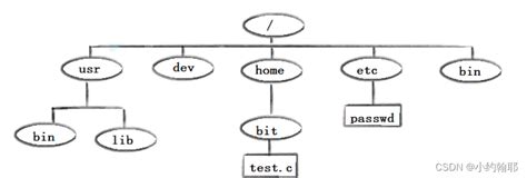 linux常见指令理解 csdn博客