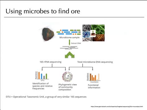 Mining Microbiome Archives Bradshaw Research Institute For Minerals And Mining
