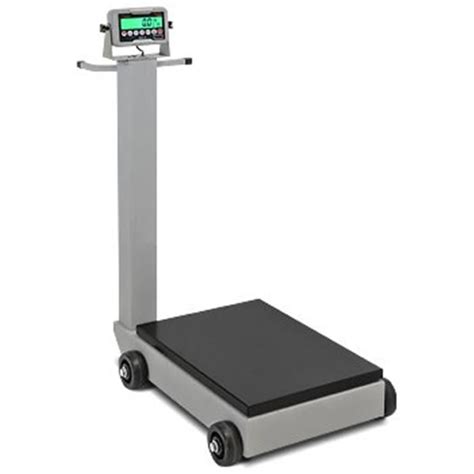 Detecto Floor Scales