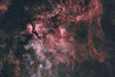 The Sadr Region Is A Large Area Of Nebulosity Surrounding The Star Sadr