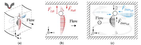 Velocity profiles in the FSI simulation for the 10 µí µí inertially Download Scientific