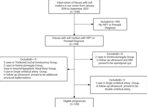 Comparison Of Cma And Nipt In Pregnant Women With Fetal Usms Rmhp