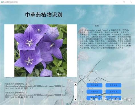 基于改进AlexNet的植物中草药分类系统源码教程 知乎