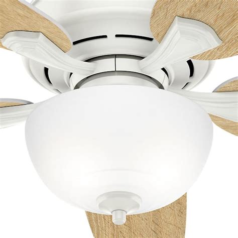 How To Install A Hunter Ceiling Fan With Lights Shelly Lighting