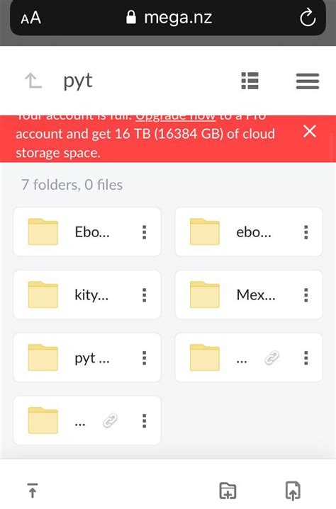 Pyt Wtv You Need Scrolller