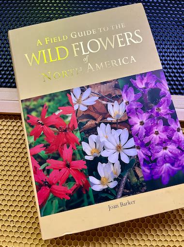 Field Guide To Wildflowers Arkearth