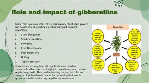Gibberellins Unveiling The Power Of Gibberellins Regulators Of Plant Growth And Development