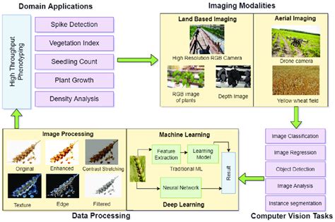 High Throughput Phenotyping Process Workflow Download Scientific Diagram