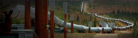 Crack Analyzer Demo Page