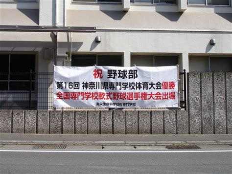 ターポリンとは｜その特徴や種類、お勧めシーンを徹底解説