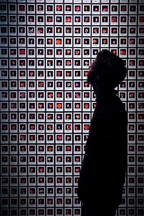 The Barbican Opens Ai More Than Human Exhibition