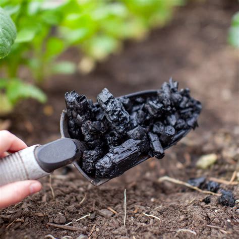 What Is Biochar How Is It Used Biochar Station