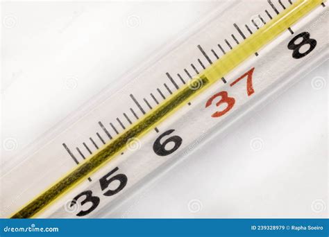 A Mercury Thermometer In Details Stock Image Image Of Healthy Close 239328979