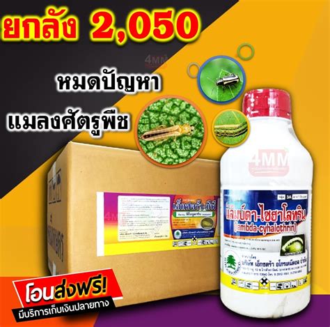 🔥 แลมบ์ดา ไซฮาโลทริน ศูนย์เมล็ดพันธุ์ตลาดสี่มุมเมือง
