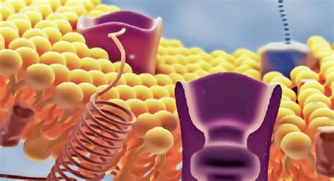 Resource Creative Bioarray