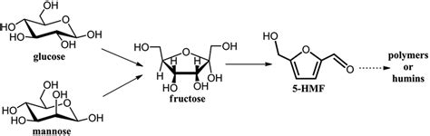 Schematic Path On The Conversion Of Glucose And Mannose Into 5 Hmf