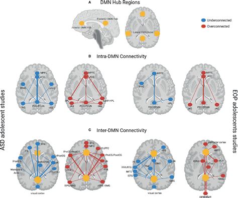 Frontiers A Review Of Default Mode Network Connectivity And Its Association With Social