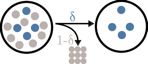 Dilution Process Individual Particles Are Independently Selected To Be