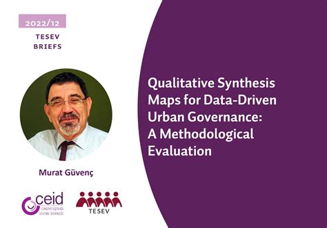 Qualitative Synthesis Maps For Data Driven Urban Governance A Methodological Evaluation TESEV