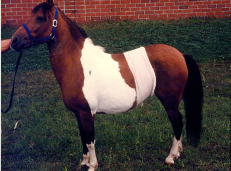 Normal And Abnormal Sexual Development Flashcards Quizlet