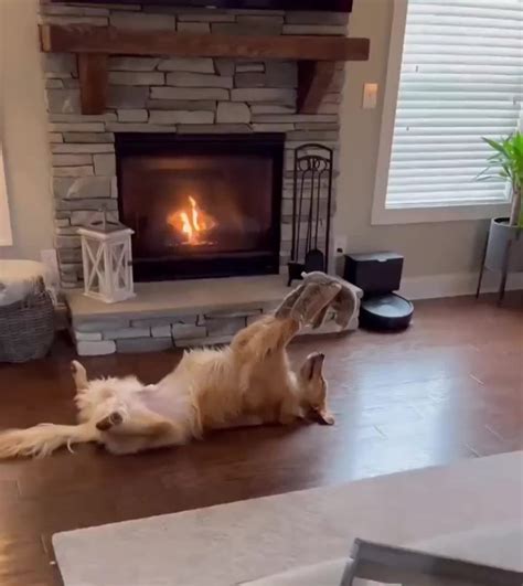 This Is My Stuffy Toy There Are Many Like It But This One Is Mine