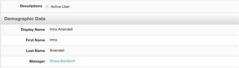 Instrumental Ids Sailpoint Iiq Ui Enhancer Plugin Instrumental Identity