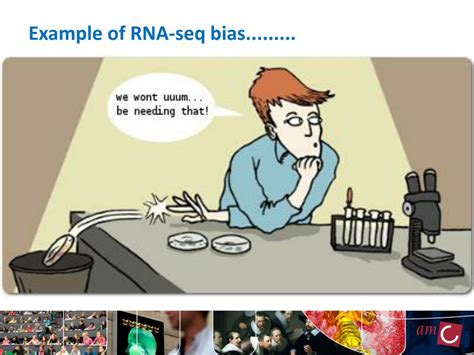 PPT Biases In RNA Seq Data October 30 2013 NBIC Advanced RNA Seq Course PowerPoint